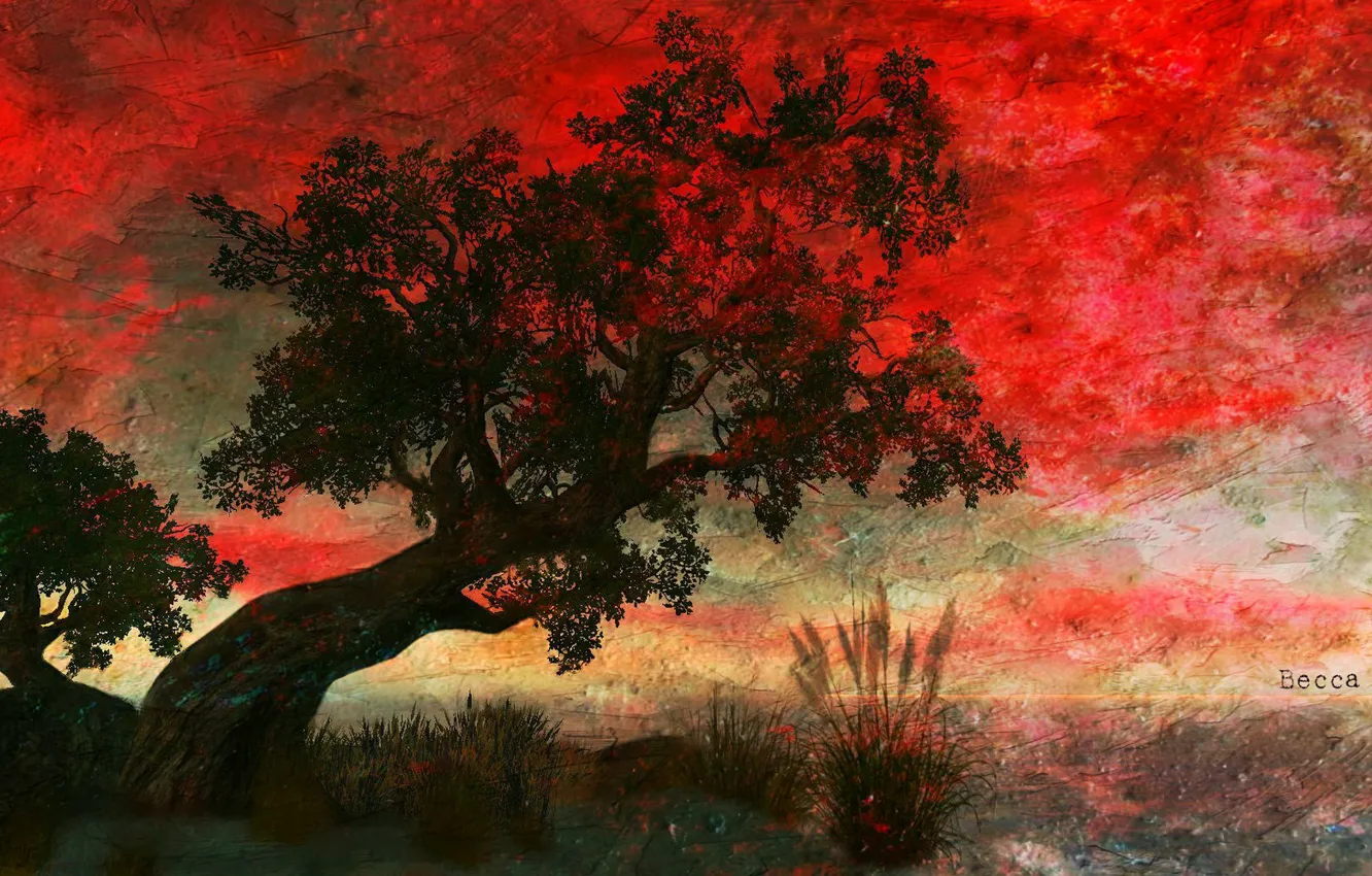 Wallpaper nature, color, texture for mobile and desktop, section ...