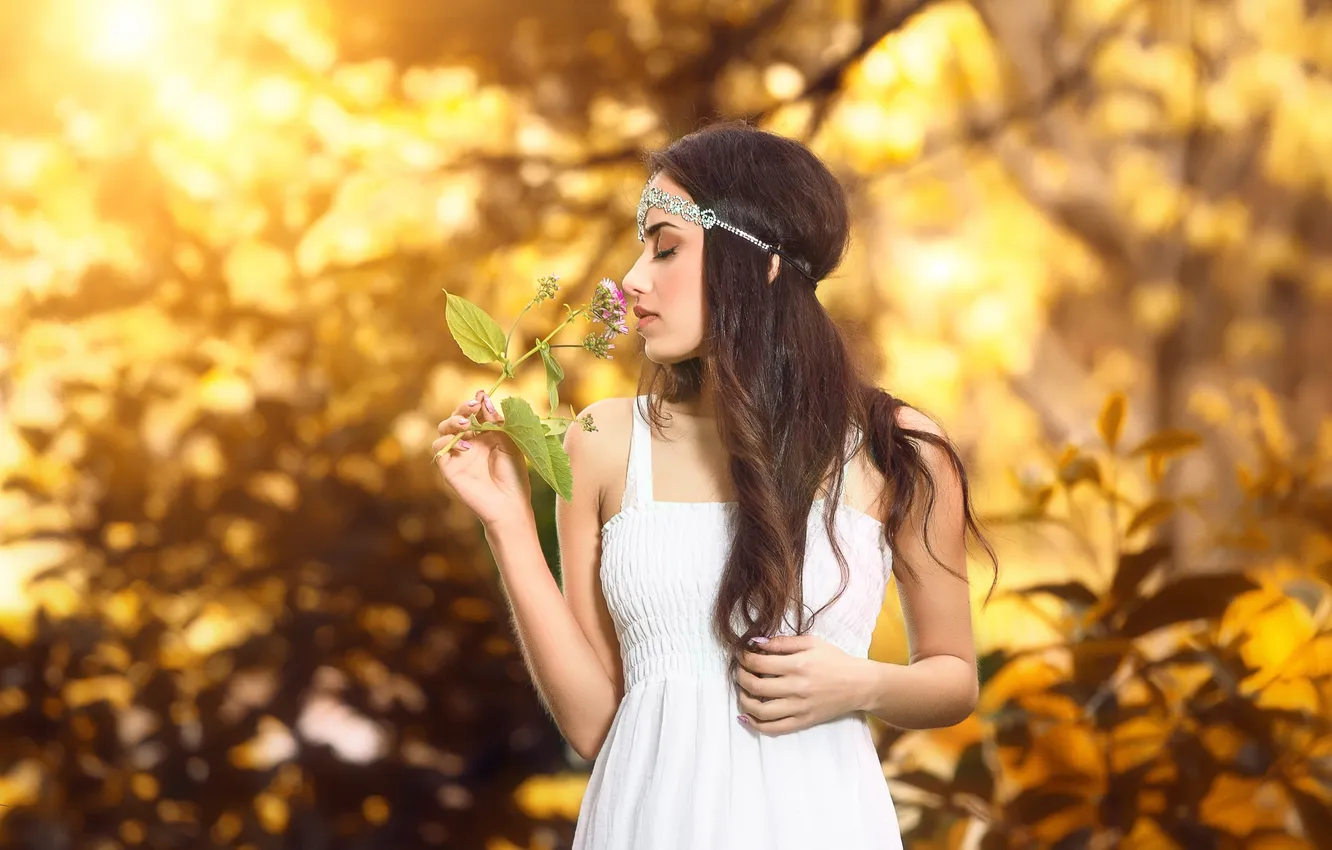 Wallpaper Flower Summer Girl For Mobile And Desktop Section девушки