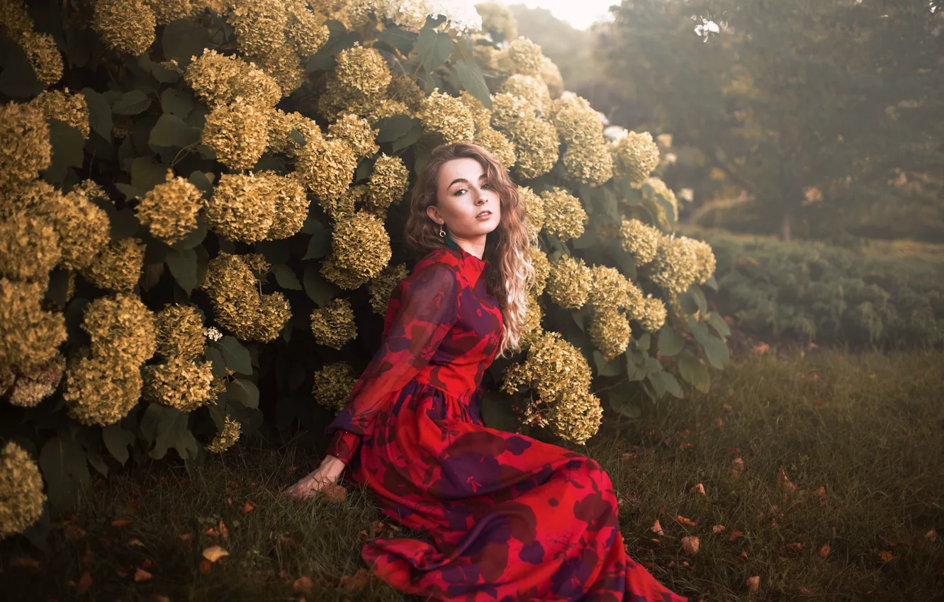 Wallpaper flowers, dress, sponge, Aleah Michele, Where the flowers grow ...