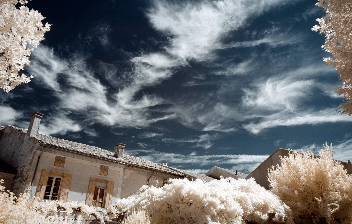 Wallpaper trees, house, France, infrared the, Tulet images for desktop ...