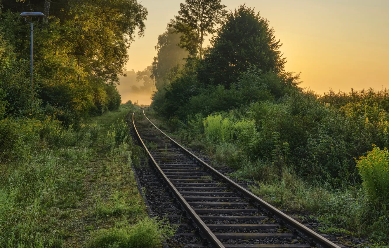 Wallpaper forest, nature, railroad images for desktop, section природа ...