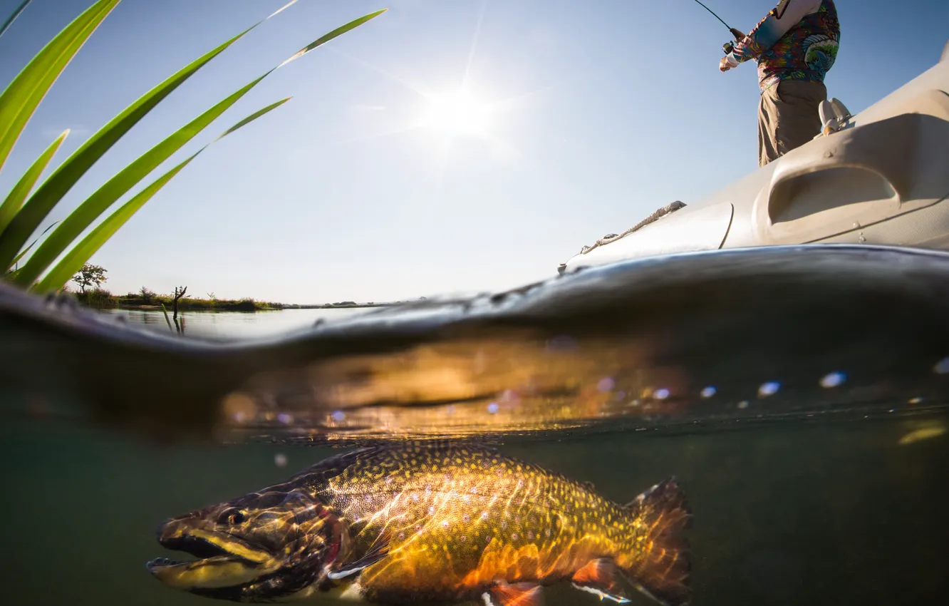 Wallpaper man, fish, fishing, boarding for mobile and desktop, section ...