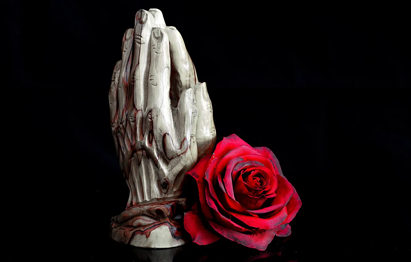 Wallpaper rose, Flower, bones images for desktop, section разное - download