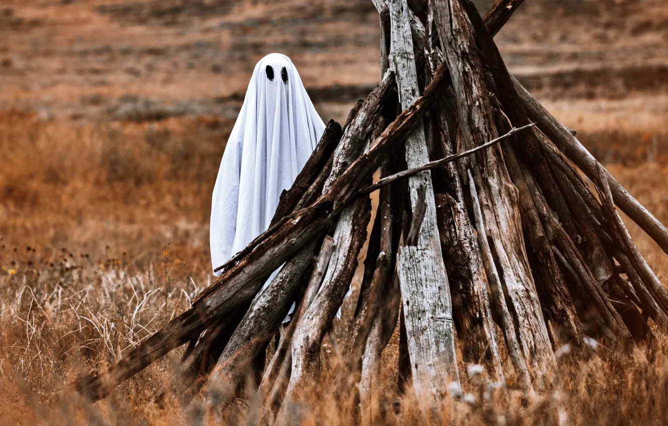 Wallpaper Wallpaper, Ghost, wood, wallpaper, sheet, ghost, picture ...