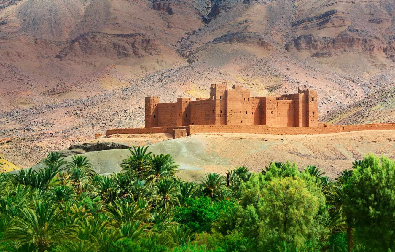 Wallpaper mountains, palm trees, fortress, Morocco, Kasbah Timidarte ...