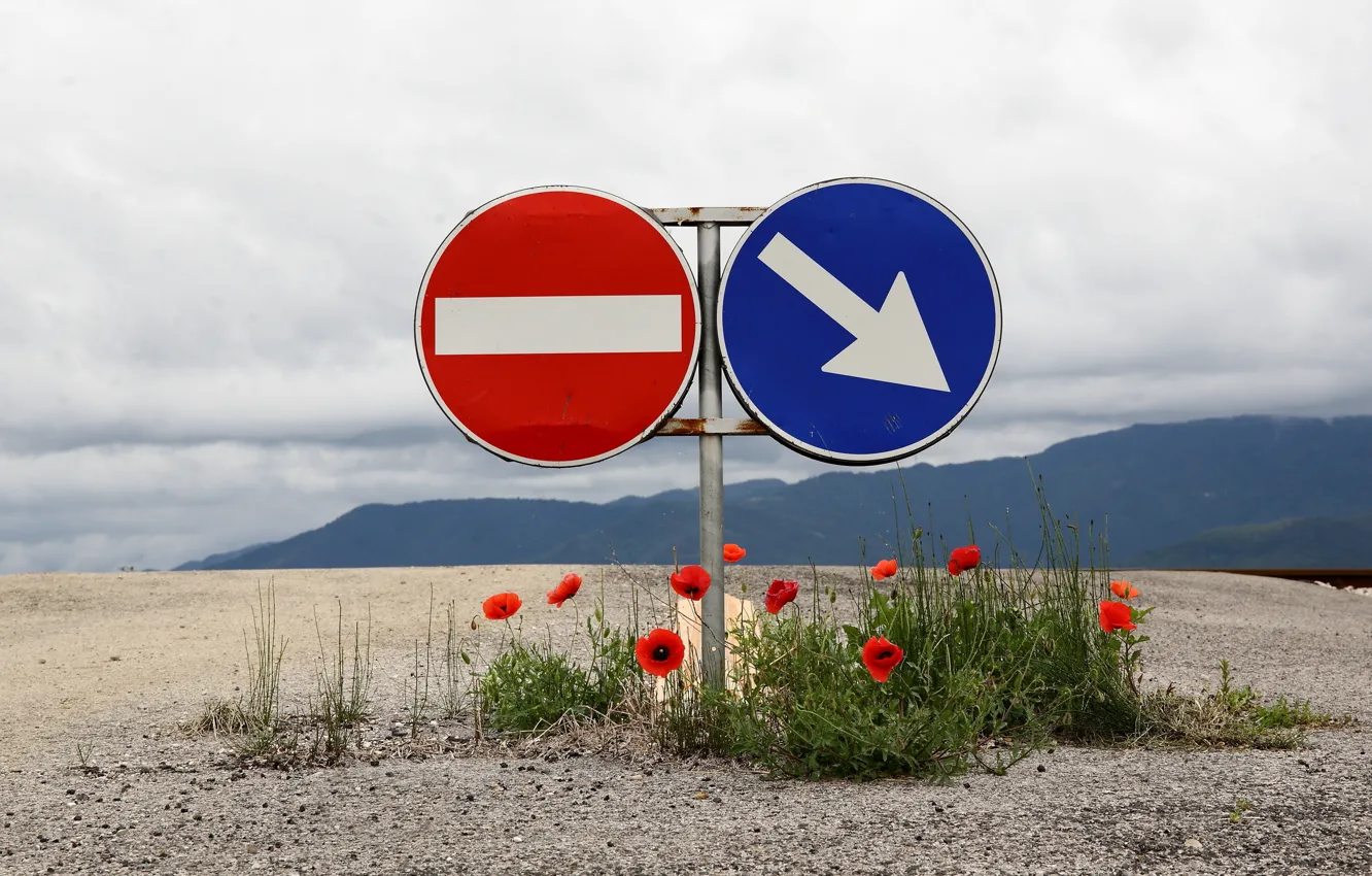 Wallpaper road, Maki, signs images for desktop, section разное - download