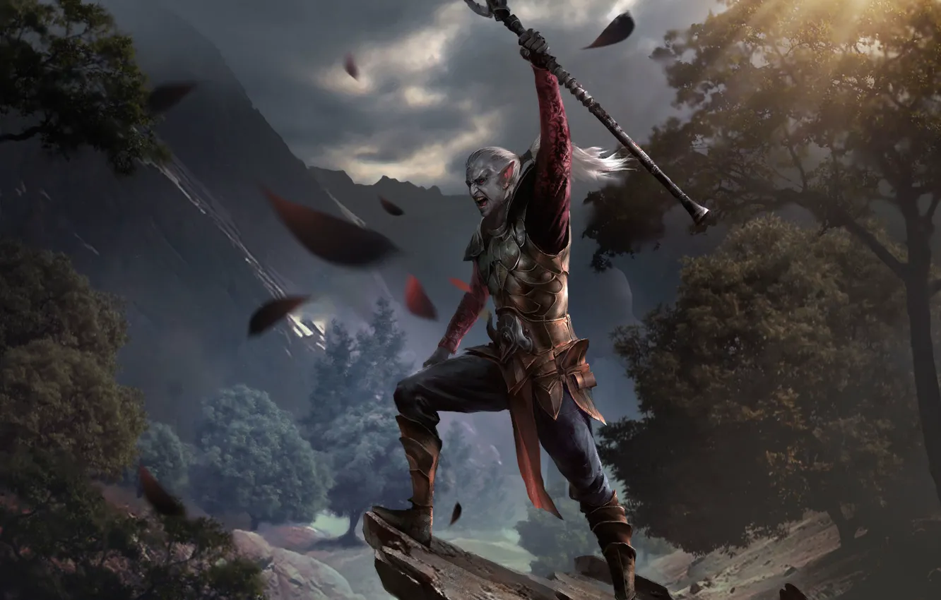 Wallpaper fantasy, elf, rod, The Elder Scrolls Legends for mobile and ...