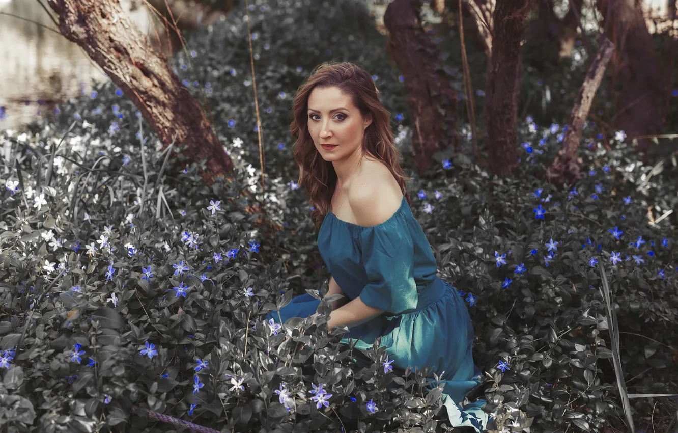 Wallpaper Girl Flowers Face Background Hair Dress Sitting