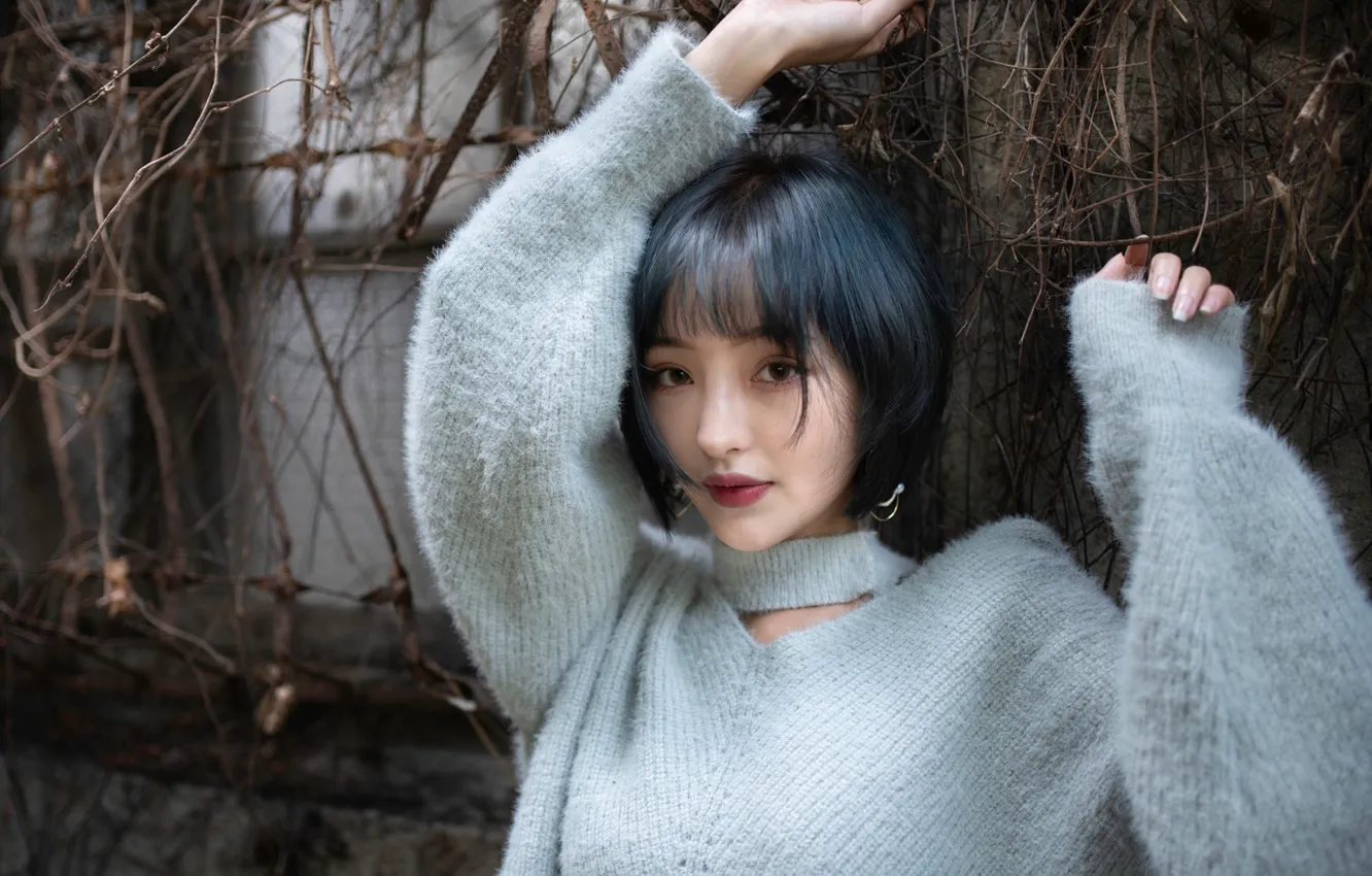 Wallpaper look, girl, branches, face, pose, hands, Chinese, Asian for ...