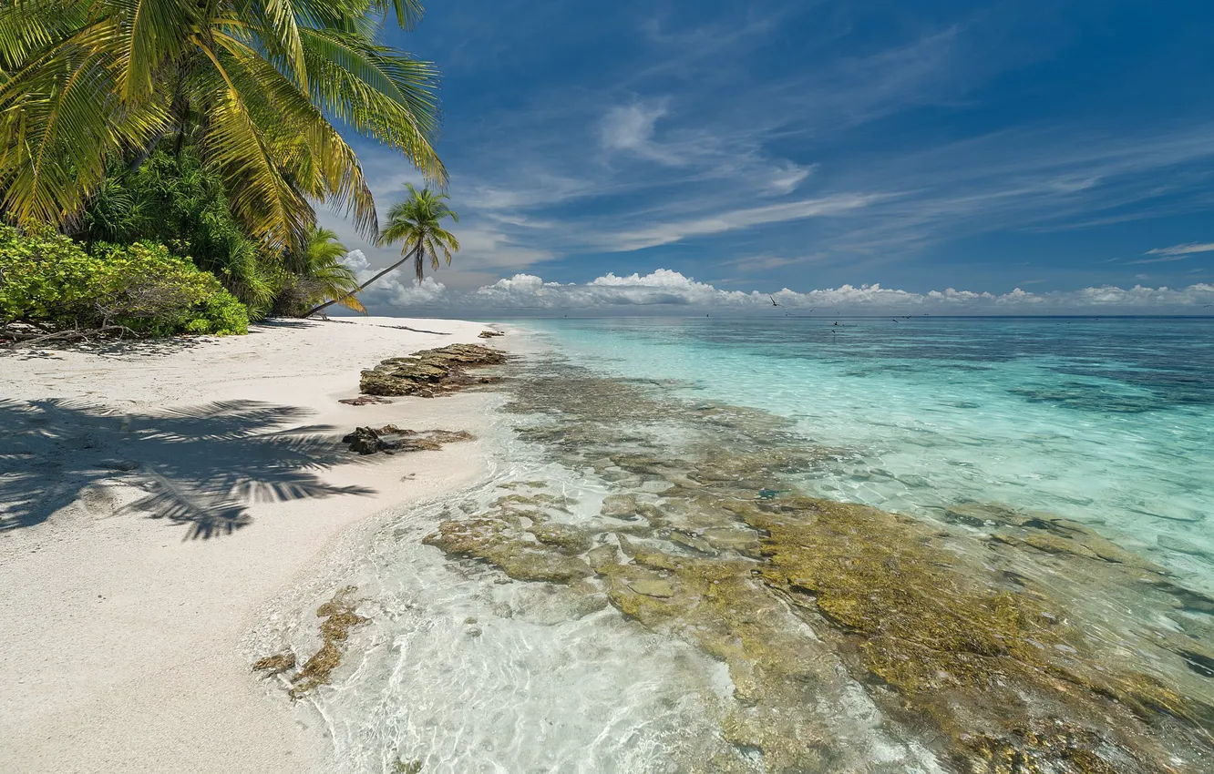 Wallpaper sea, nature, tropics for mobile and desktop, section природа ...