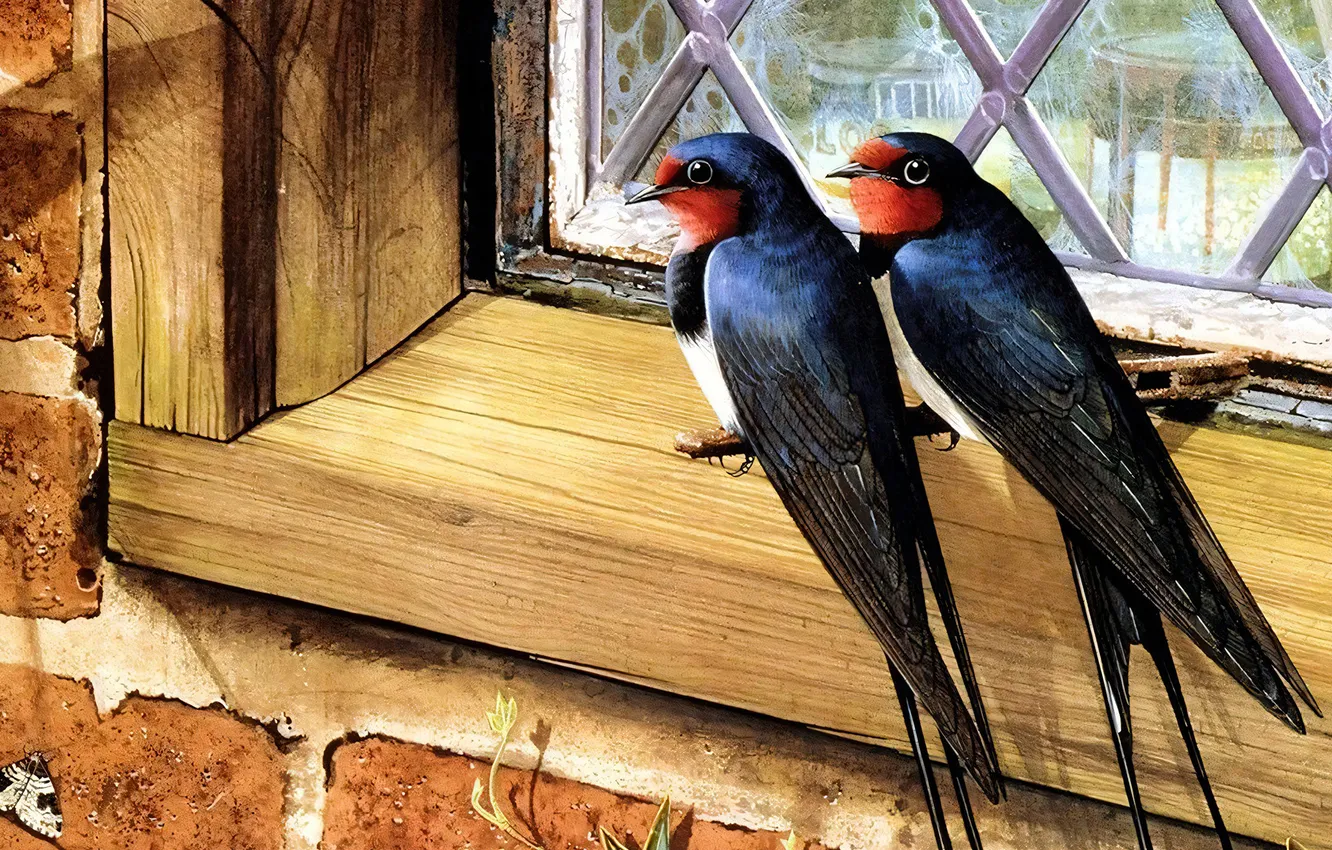 Wallpaper bird, window, swallow for mobile and desktop, section ...