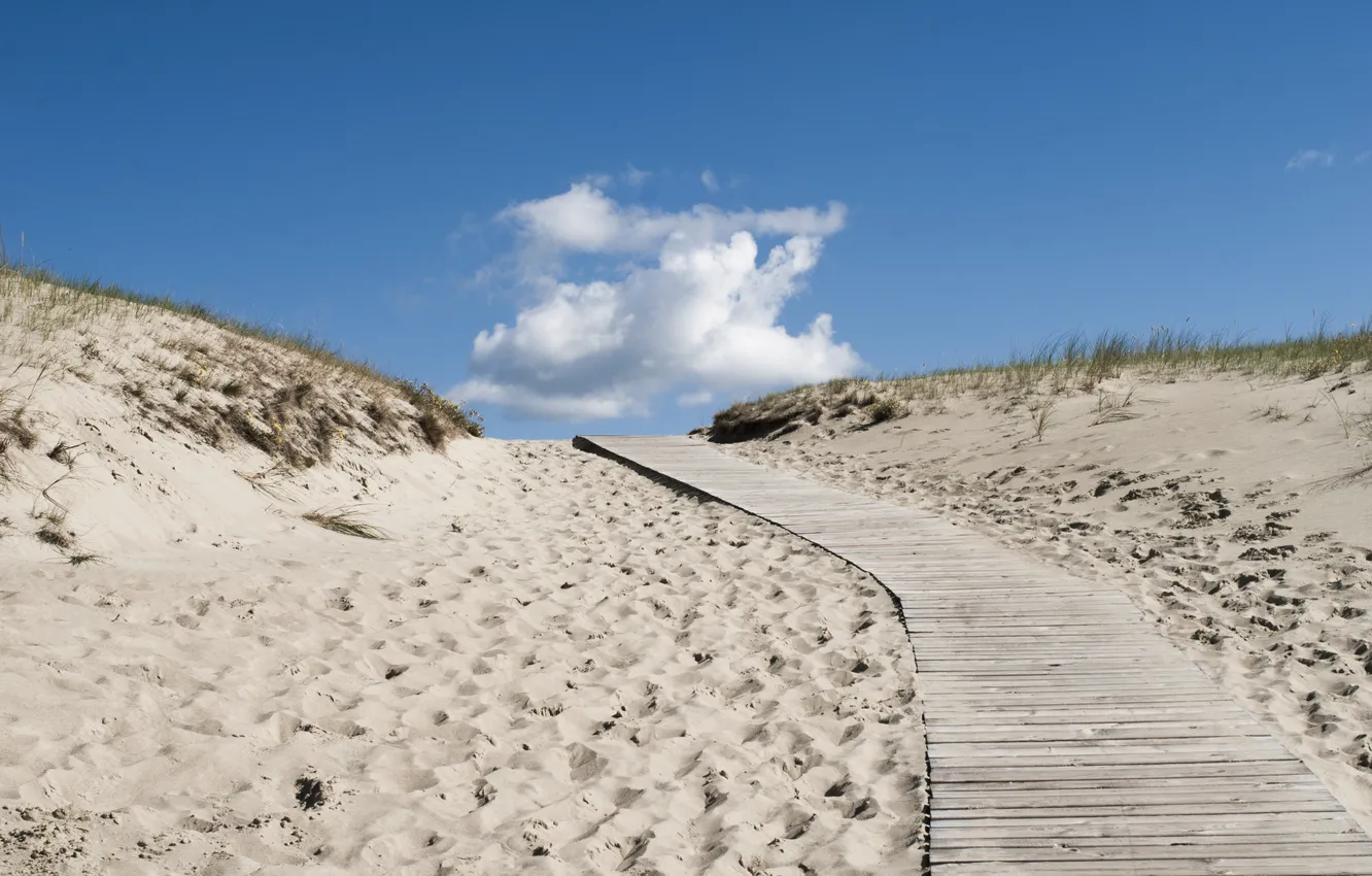 Wallpaper sand, beach, landscape, track for mobile and desktop, section ...