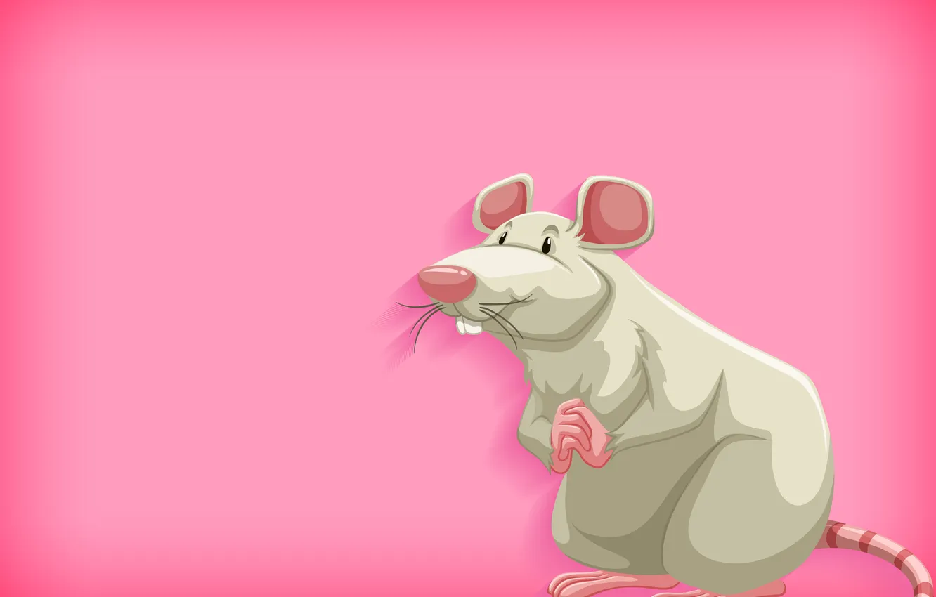 Wallpaper pink, art, animal, rat for mobile and desktop, section ...