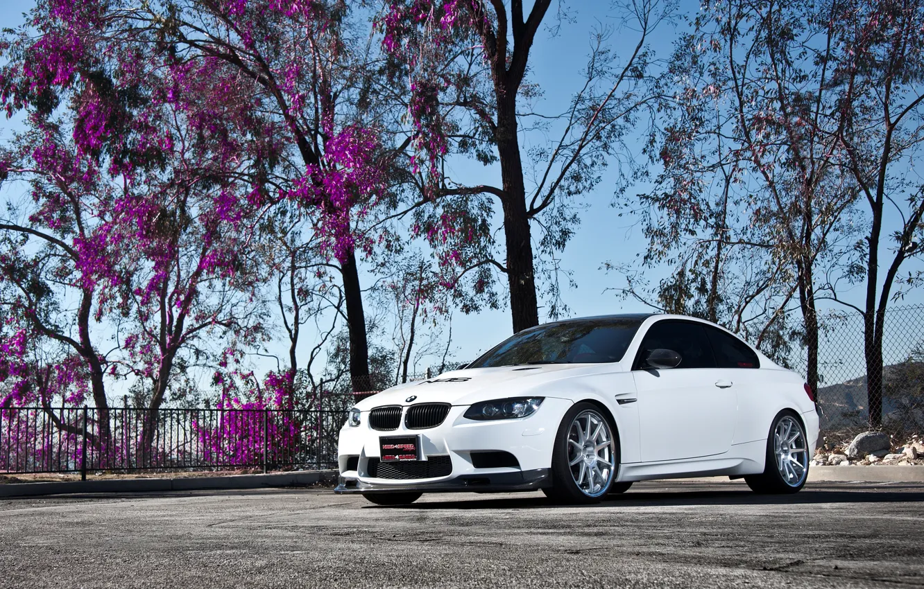 Wallpaper white, the sky, tree, bmw, BMW, white, wheels, tree, e92 ...