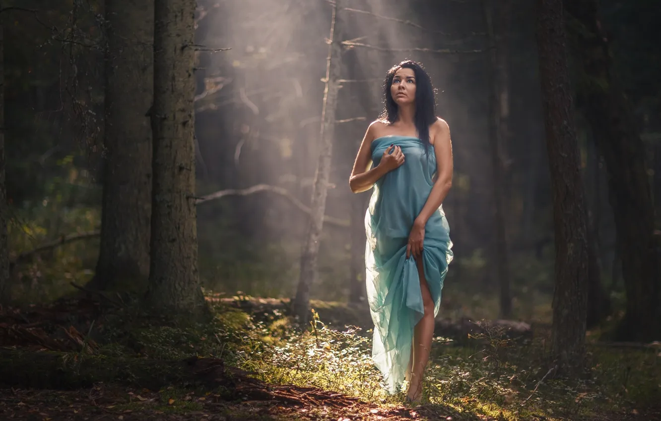 Wallpaper Forest Look Girl Light Nature Pose Brunette With