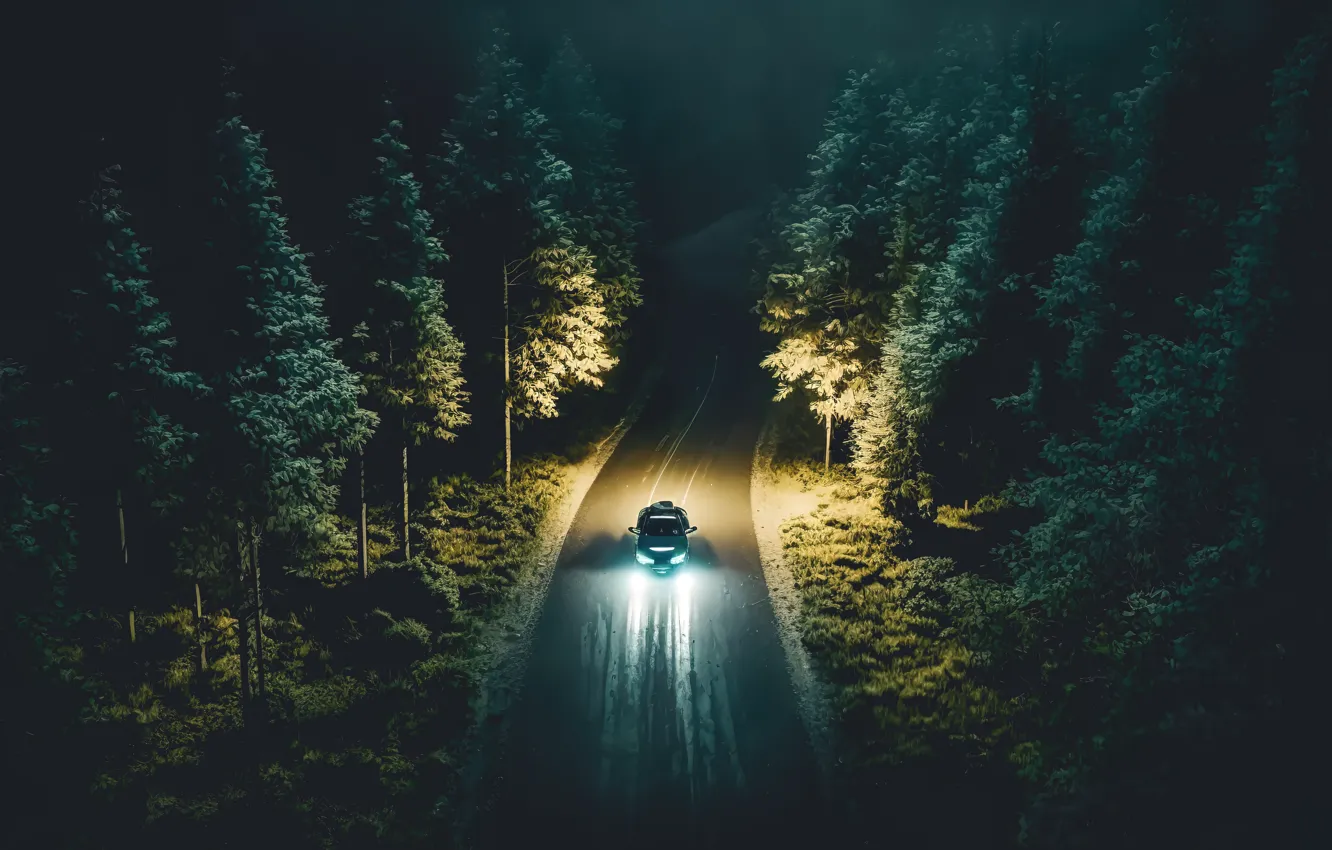 Wallpaper car, forest, road, night, driving for mobile and desktop ...