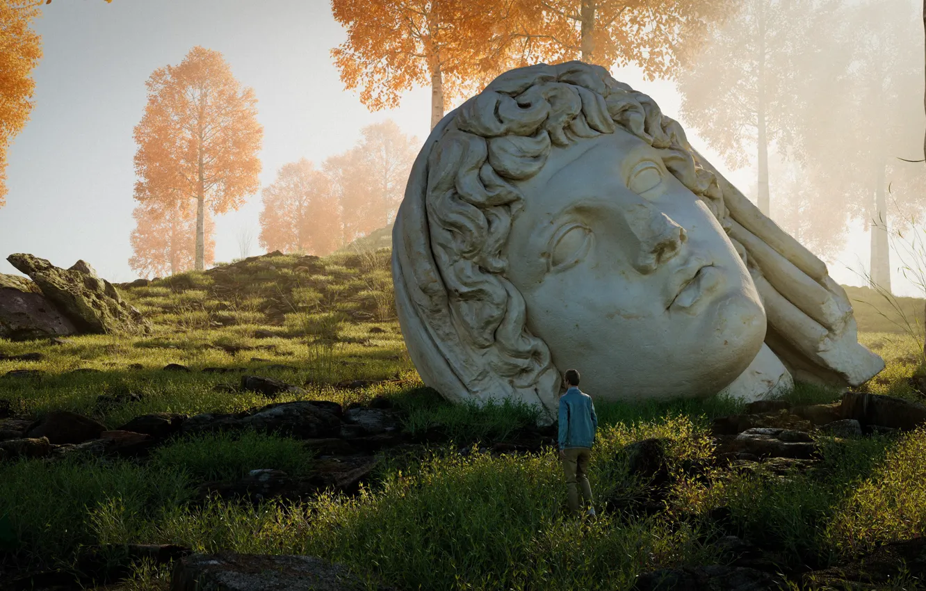 Wallpaper Nature, Grass, Trees, Forest, Head, Nature, Male, Forest for ...