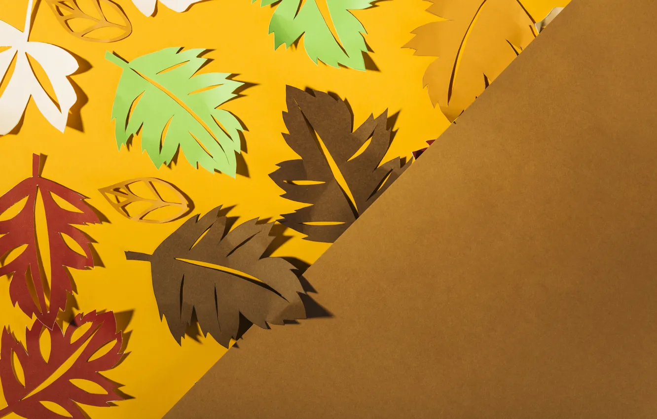 Wallpaper Autumn Leaves Background Colorful Background Autumn