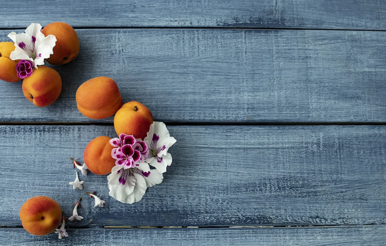 Wallpaper flowers, background, blue, apricot for mobile and desktop ...