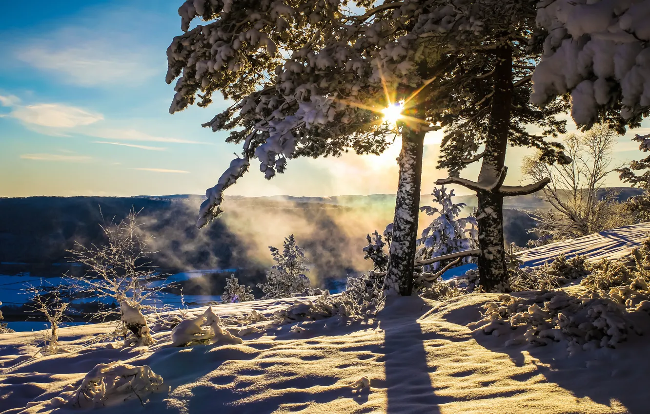 Wallpaper winter, the sun, snow, trees for mobile and desktop, section ...