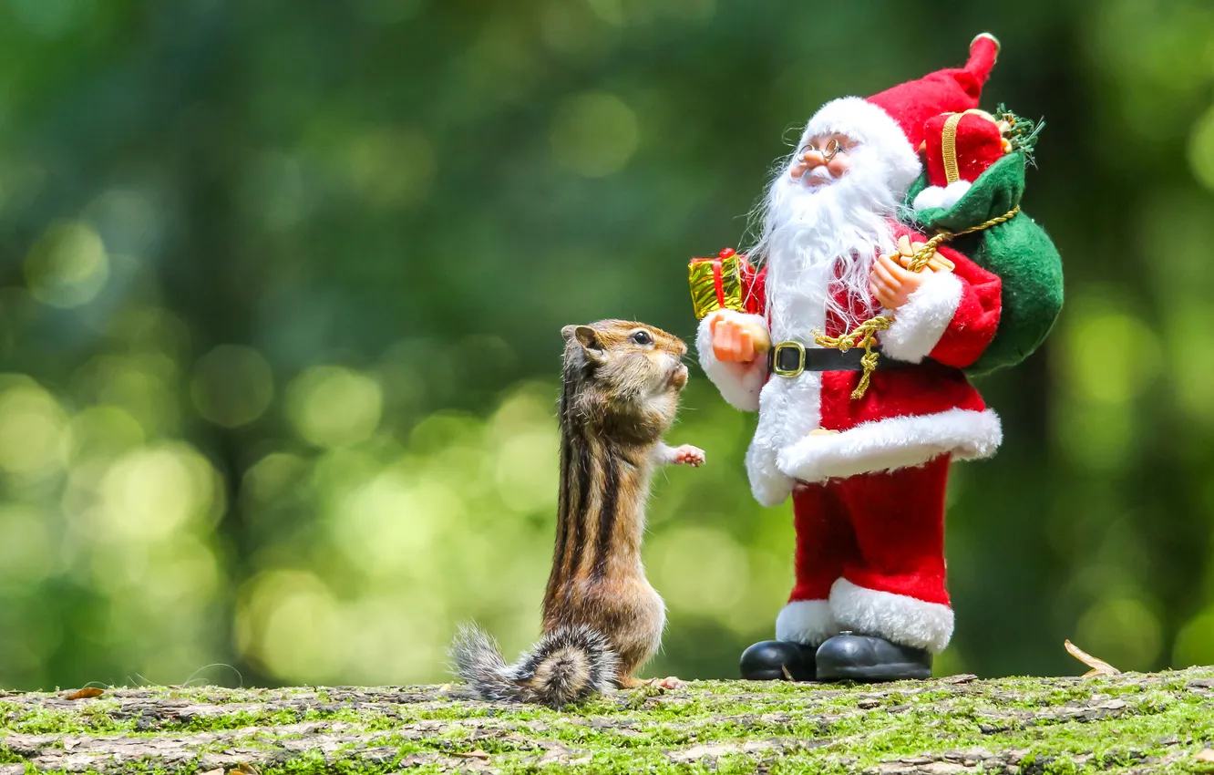 Wallpaper glade, toy, New year, Chipmunk, Santa Claus, Santa Claus for ...