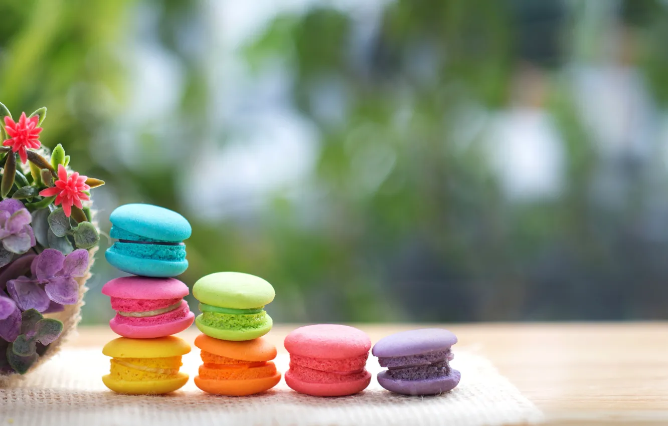 Wallpaper colorful, cake, dessert, pink, sweet, sweet, dessert, bright ...