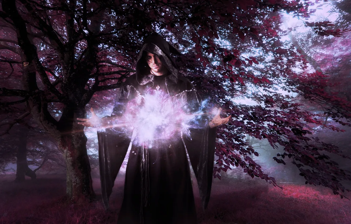 Wallpaper forest, magic, MAG, forest, magic, fantastic, fan art, mag ...