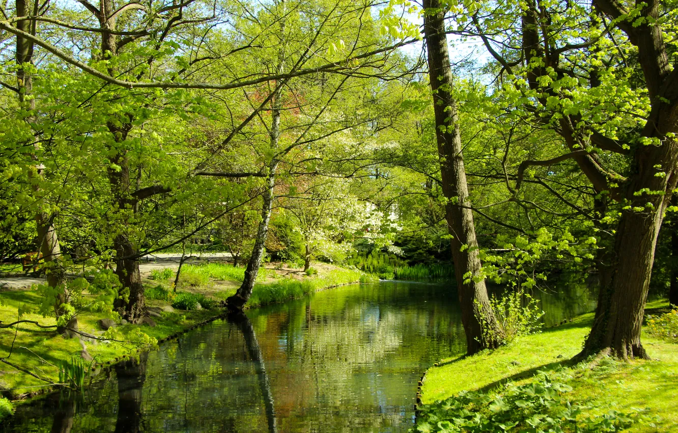 Wallpaper park, spring, pond for mobile and desktop, section пейзажи ...