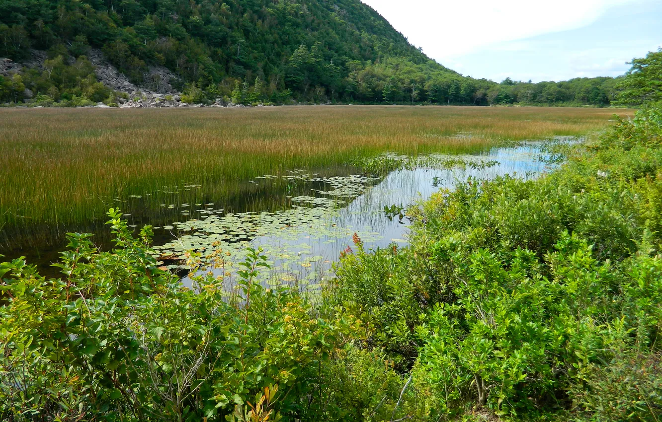 Wallpaper the sky, grass, landscape, mountains, river, swamp, slope ...