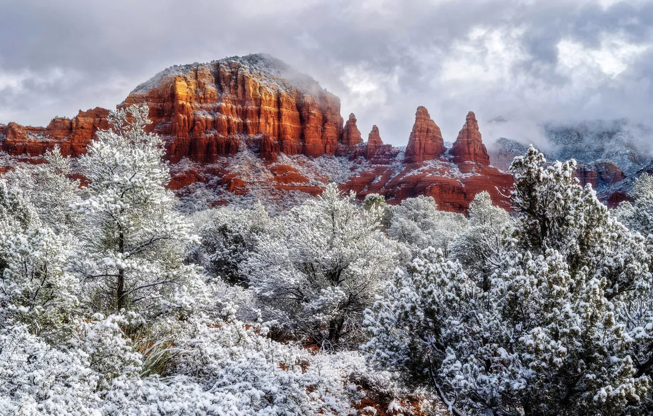 Wallpaper winter, the sky, clouds, snow, trees, mountains, rocks, AZ ...