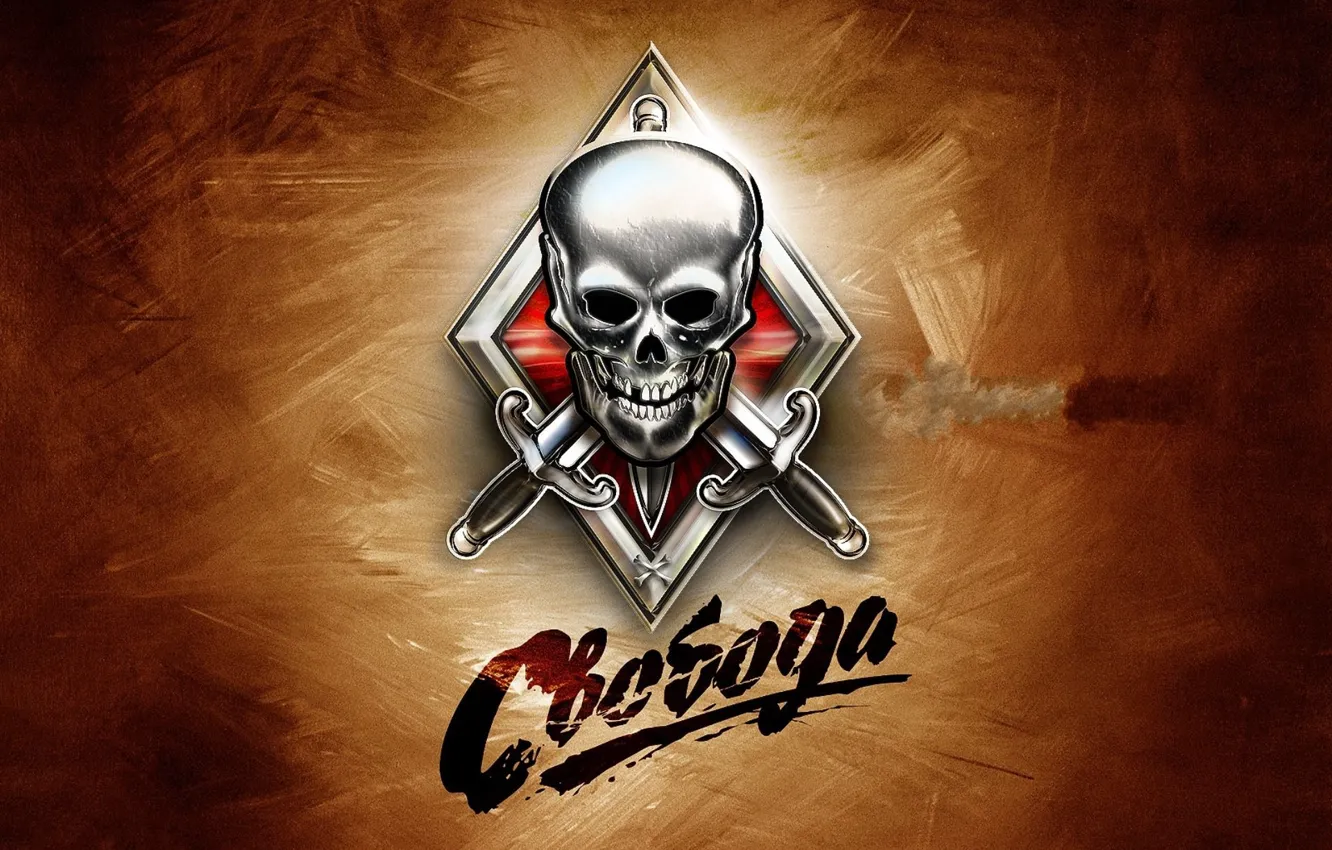 Wallpaper BACKGROUND, SWORDS, SKULL, STALKER, FREEDOM images for ...