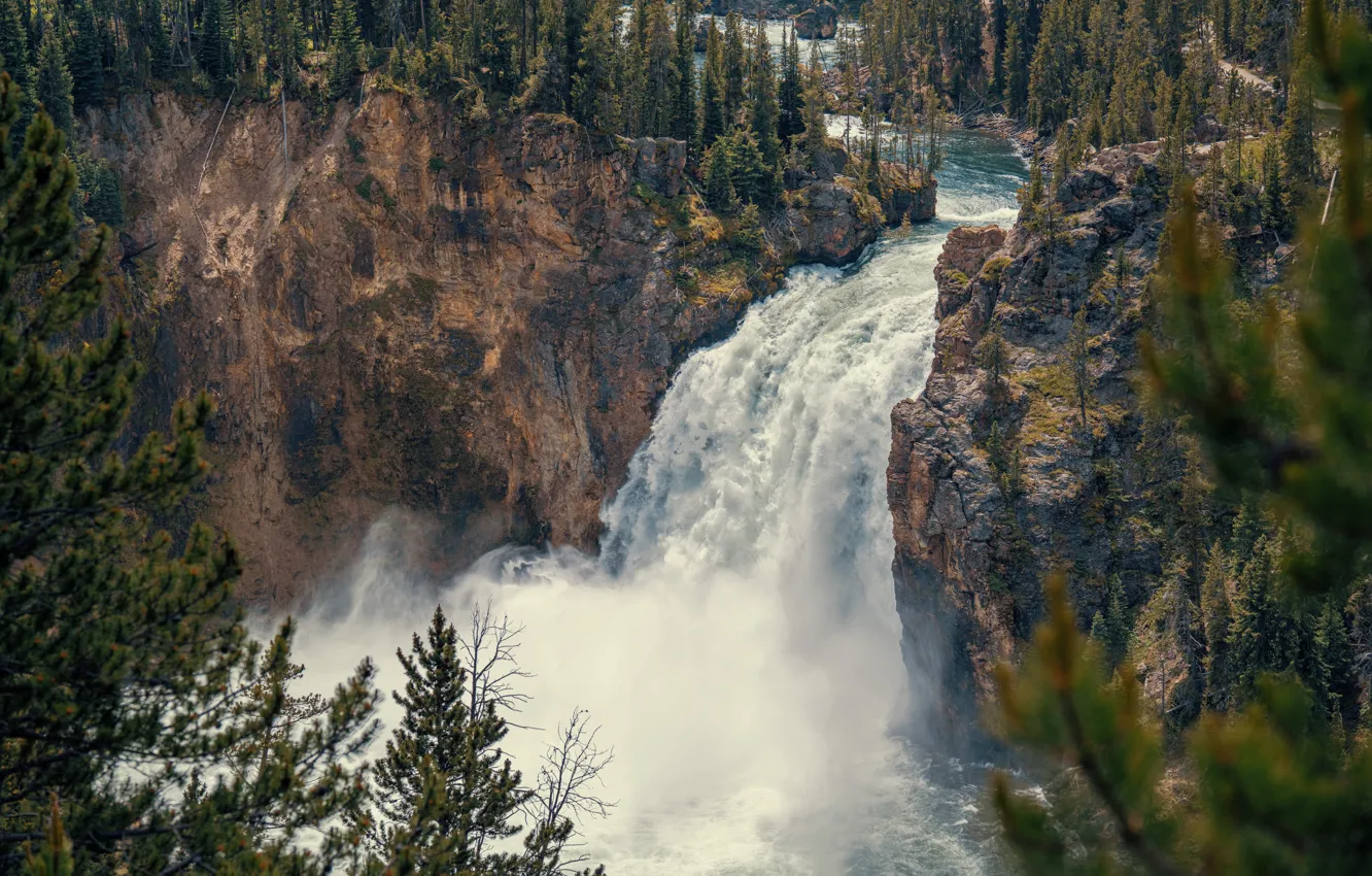 Wallpaper wallpaper, Nature, Waterfall, picture, River, Rocks, Forest ...