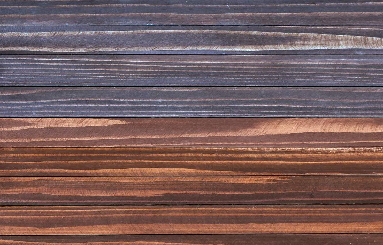 Wallpaper trees, color, texture for mobile and desktop, section ...