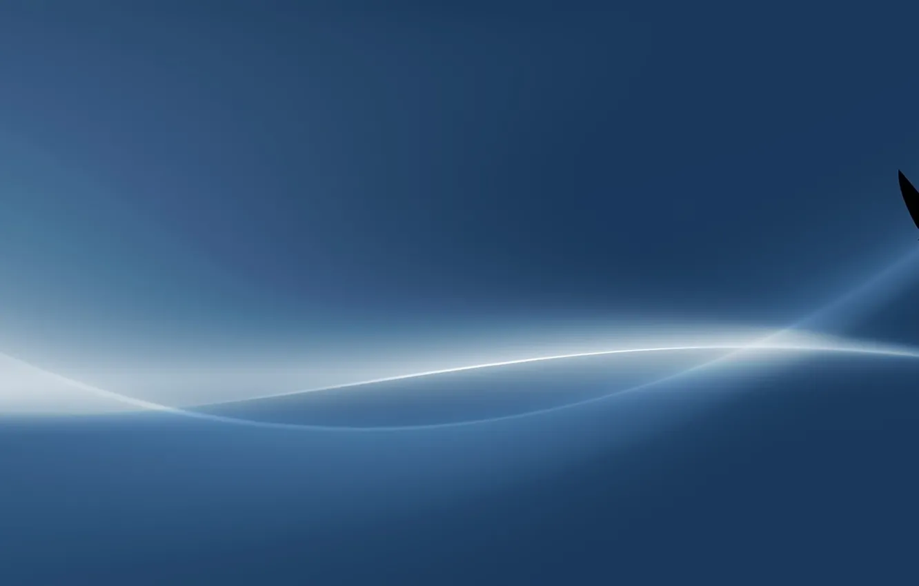 Wallpaper background, color, form for mobile and desktop, section ...