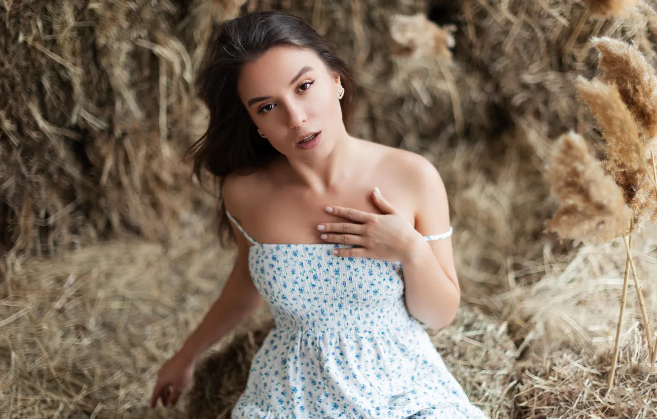 Wallpaper village, village, brunette, hay, the barn, sundress, Pollyy ...