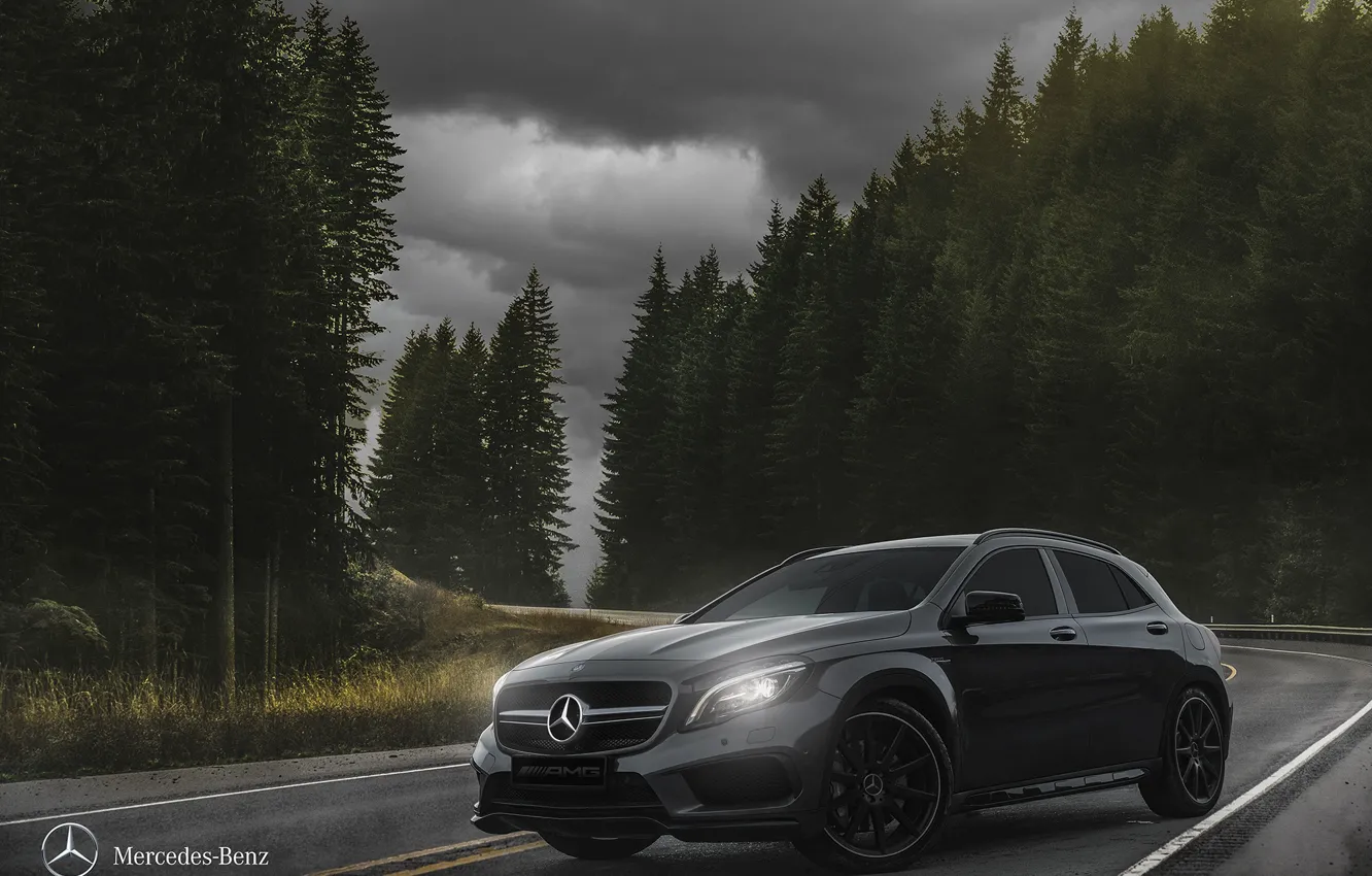 Wallpaper car, mercedes, forest, mercedes-benz, road, sky, jungle, benz ...